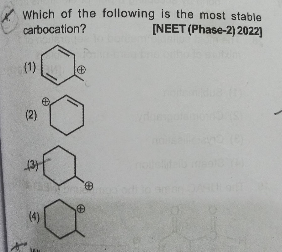Which of the following is the most stable | StudyX