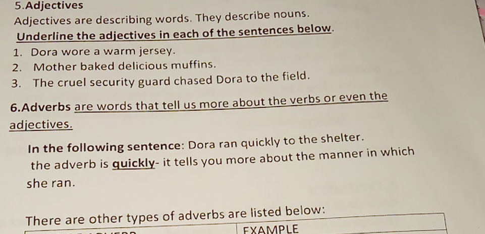 5. Adjectives Adjectives are describing | StudyX