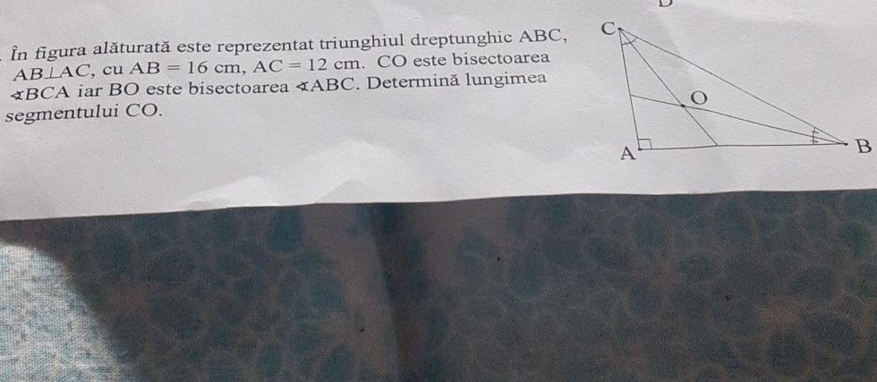 În figura alăturată este reprezentat | StudyX