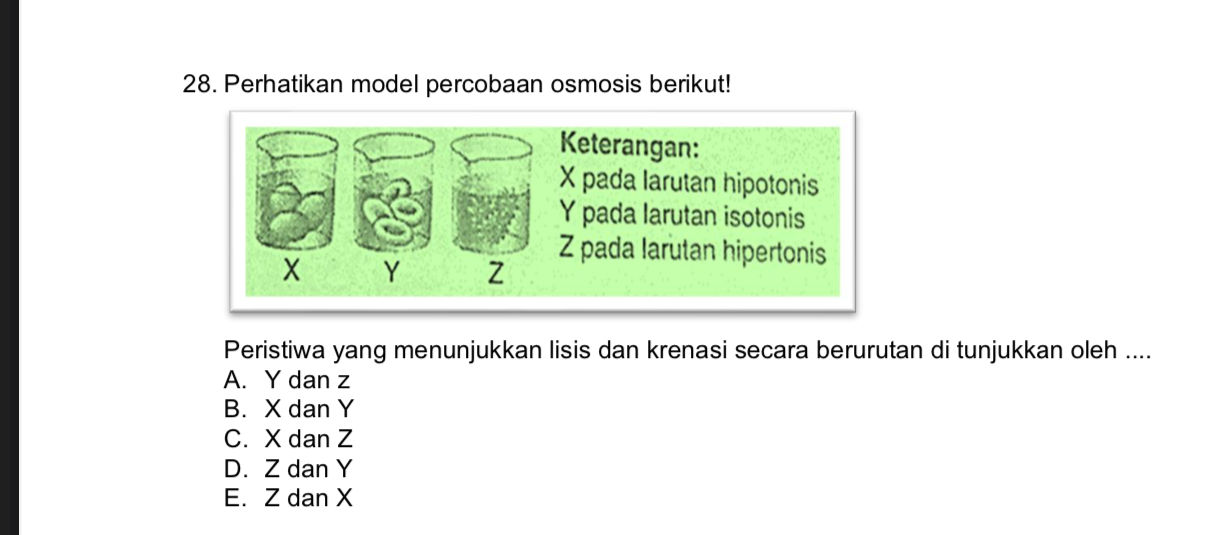 28. Perhatikan model percobaan osmosis | StudyX