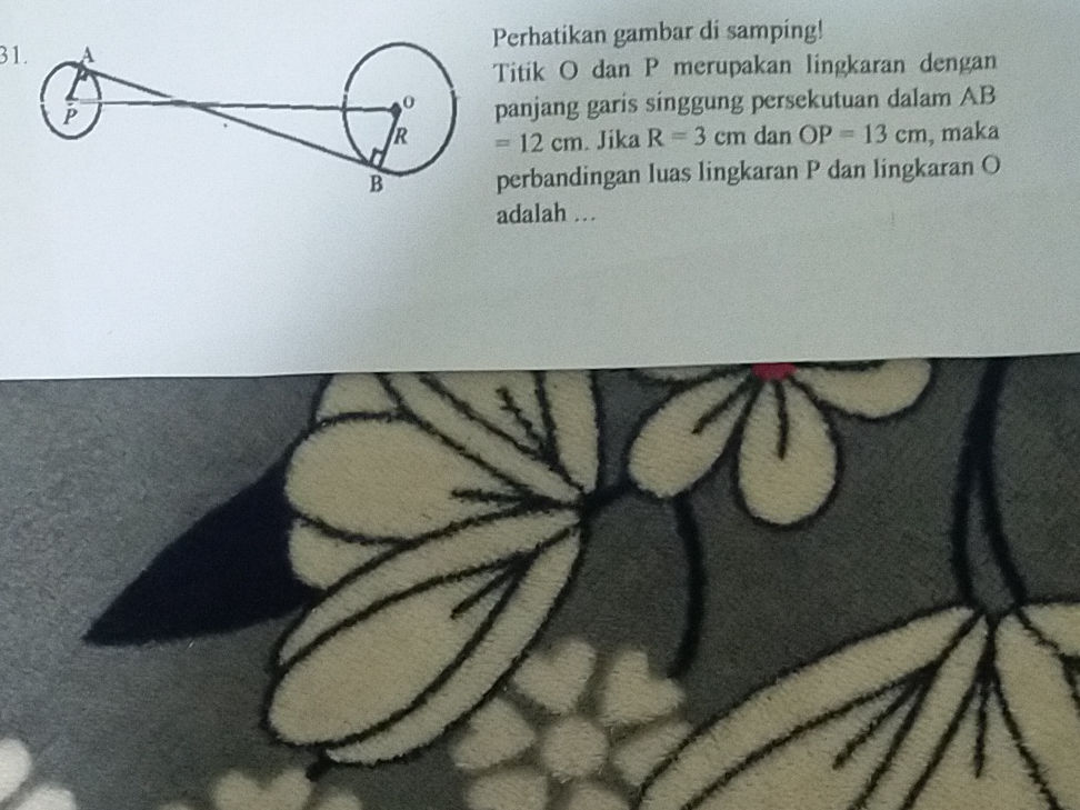 Perhatikan gambar di samping! Titik O dan P | StudyX