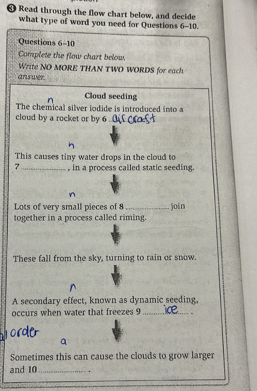 Read through the flow chart below, and | StudyX
