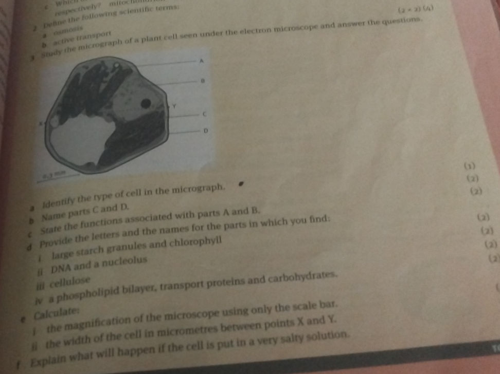 3 Study the micrograph of a plant cell seen | StudyX
