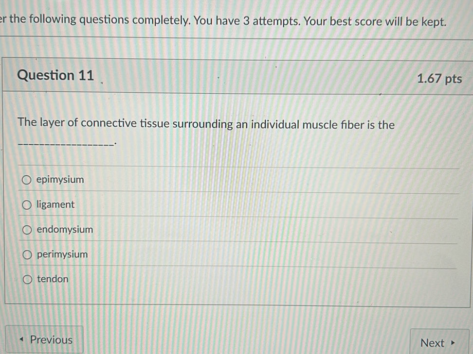 The layer of connective tissue surrounding | StudyX