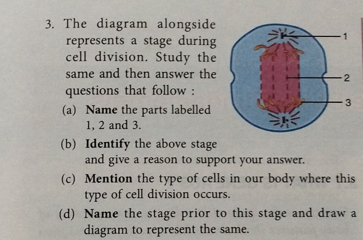 3. The diagram alongside represents a stage | StudyX
