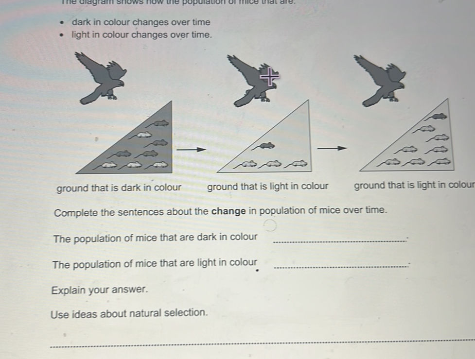 The diagram shows how the population of mice | StudyX