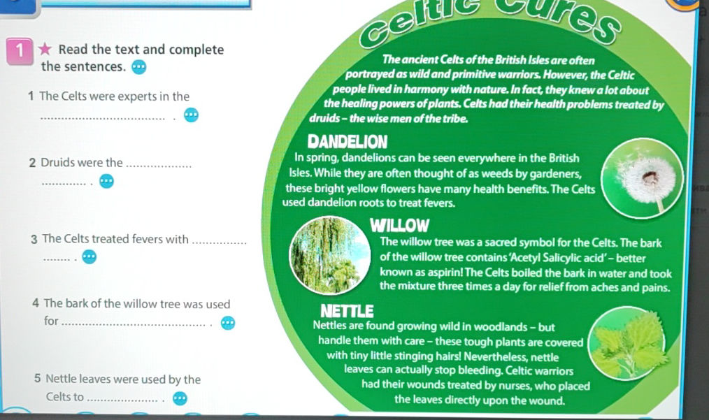 1 Read the text and complete the sentences. | StudyX