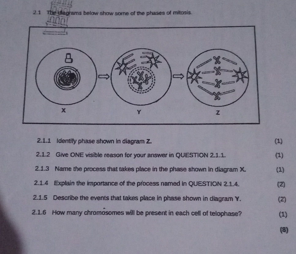 2.1 The diagrams below show some of the | StudyX