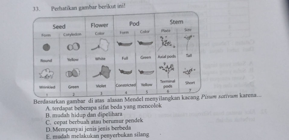 33. Perhatikan gambar berikut ini! | Seed | StudyX