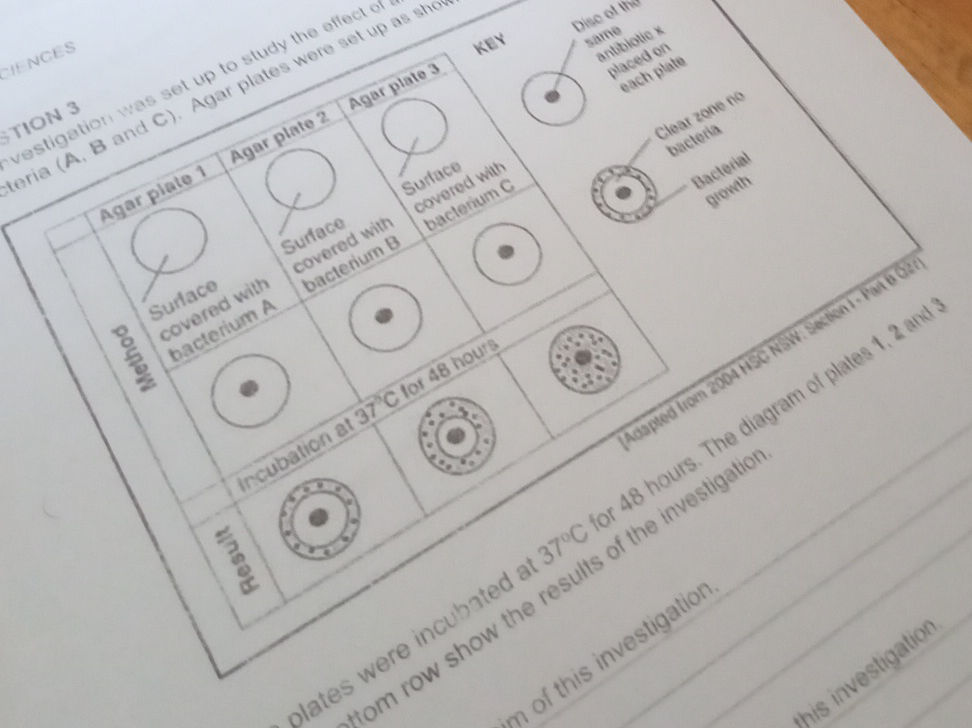 Method | Agar plate 1 | Agar plate 2 | | StudyX
