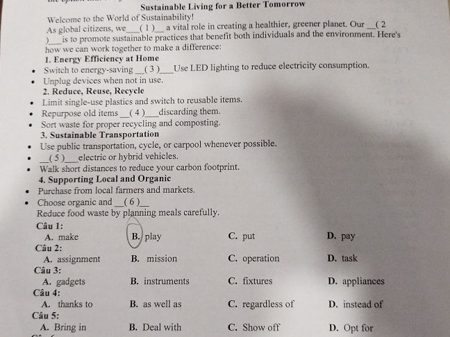 Sustainable Living for a Better Tomorrow | StudyX