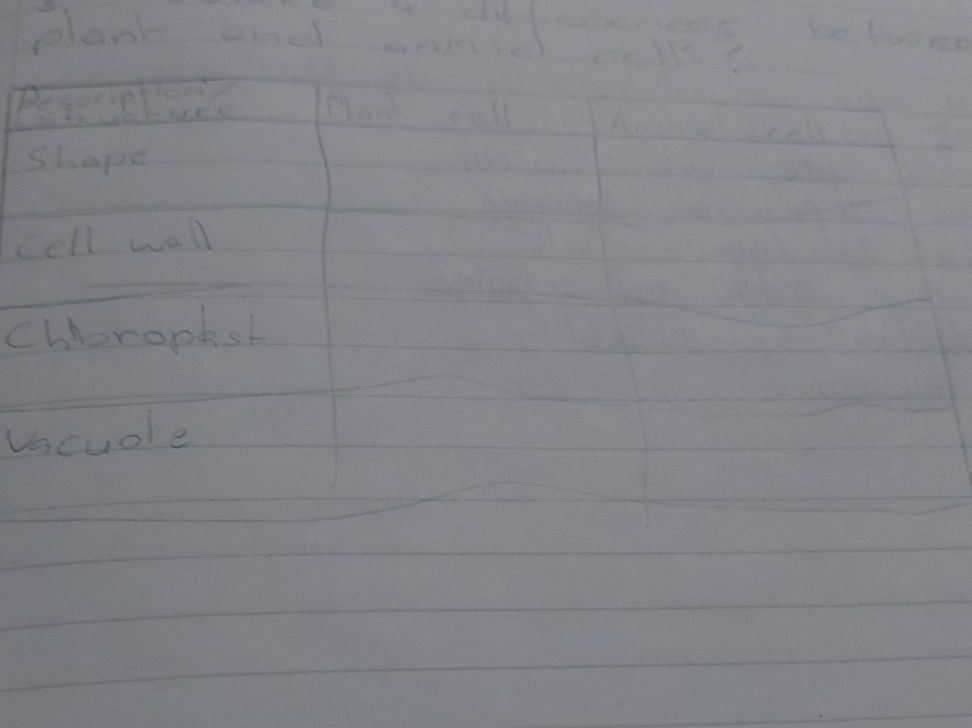 Describe 4 differences between plant and | StudyX