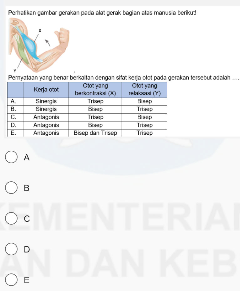 Perhatikan gambar gerakan pada alat gerak | StudyX