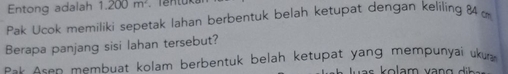 Entong adalah 1.200 m². Pak Ucok memiliki | StudyX