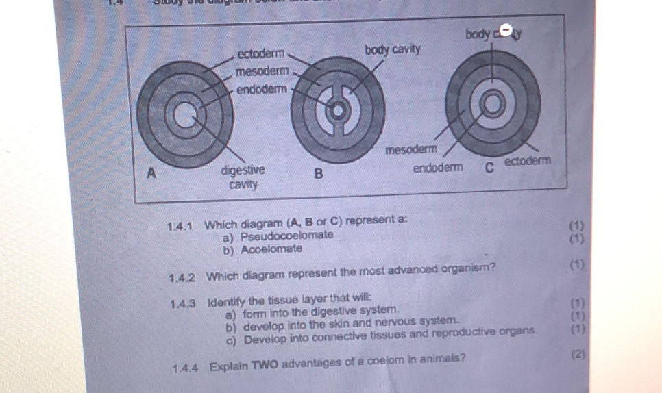 Study the diagram below and answer the | StudyX
