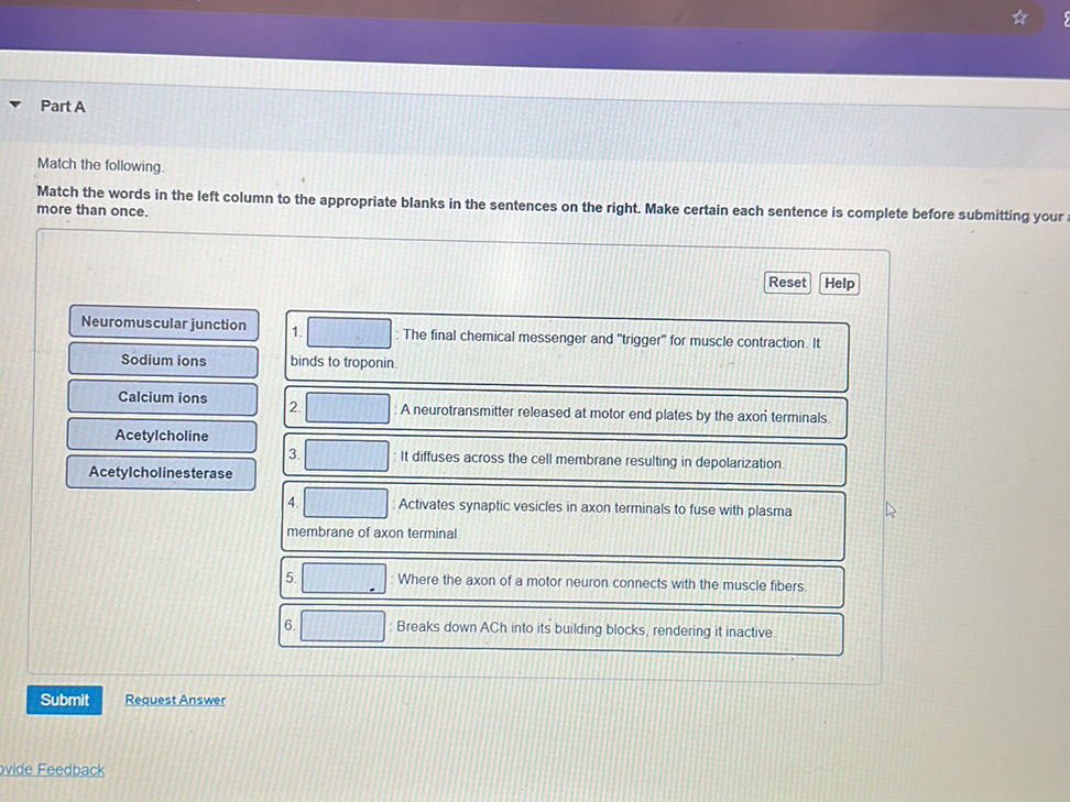 Match the following. Match the words in the | StudyX