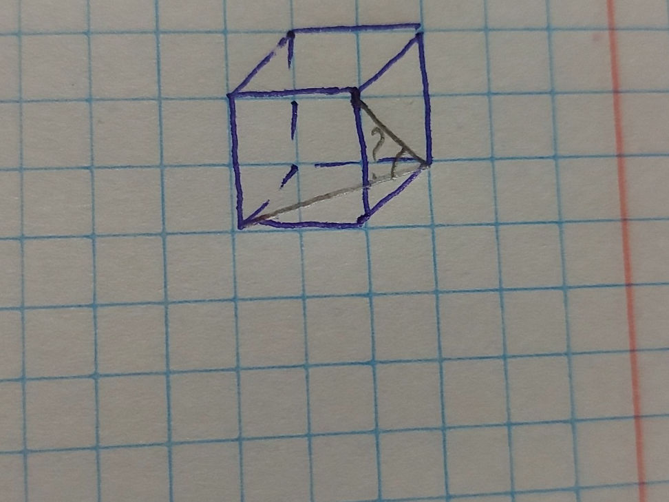 The image shows a cube with a triangle drawn | StudyX