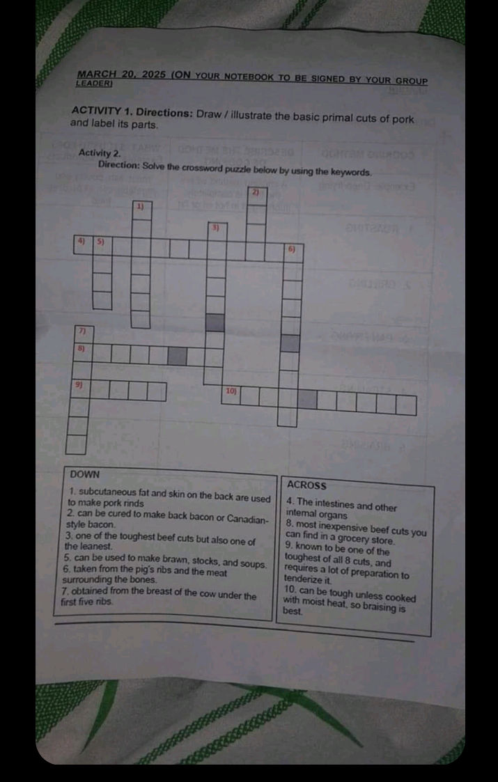 Activity 1. Directions: Draw / illustrate | StudyX