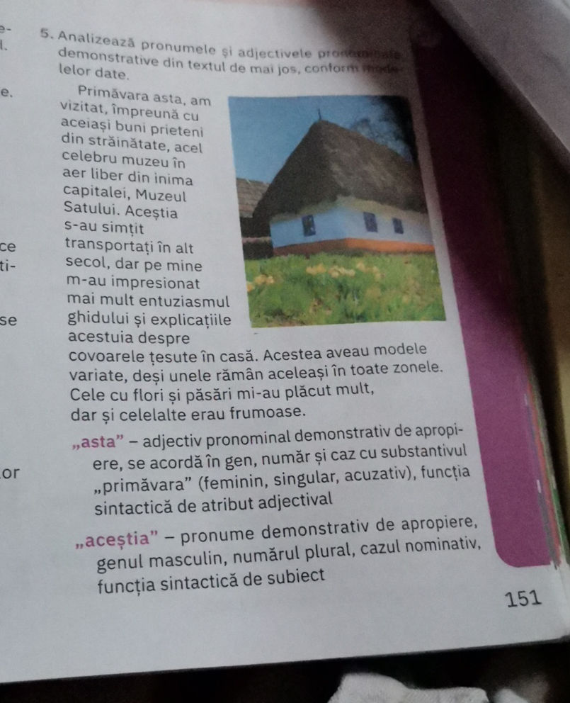 5. Analizează pronumele și adjectivele | StudyX