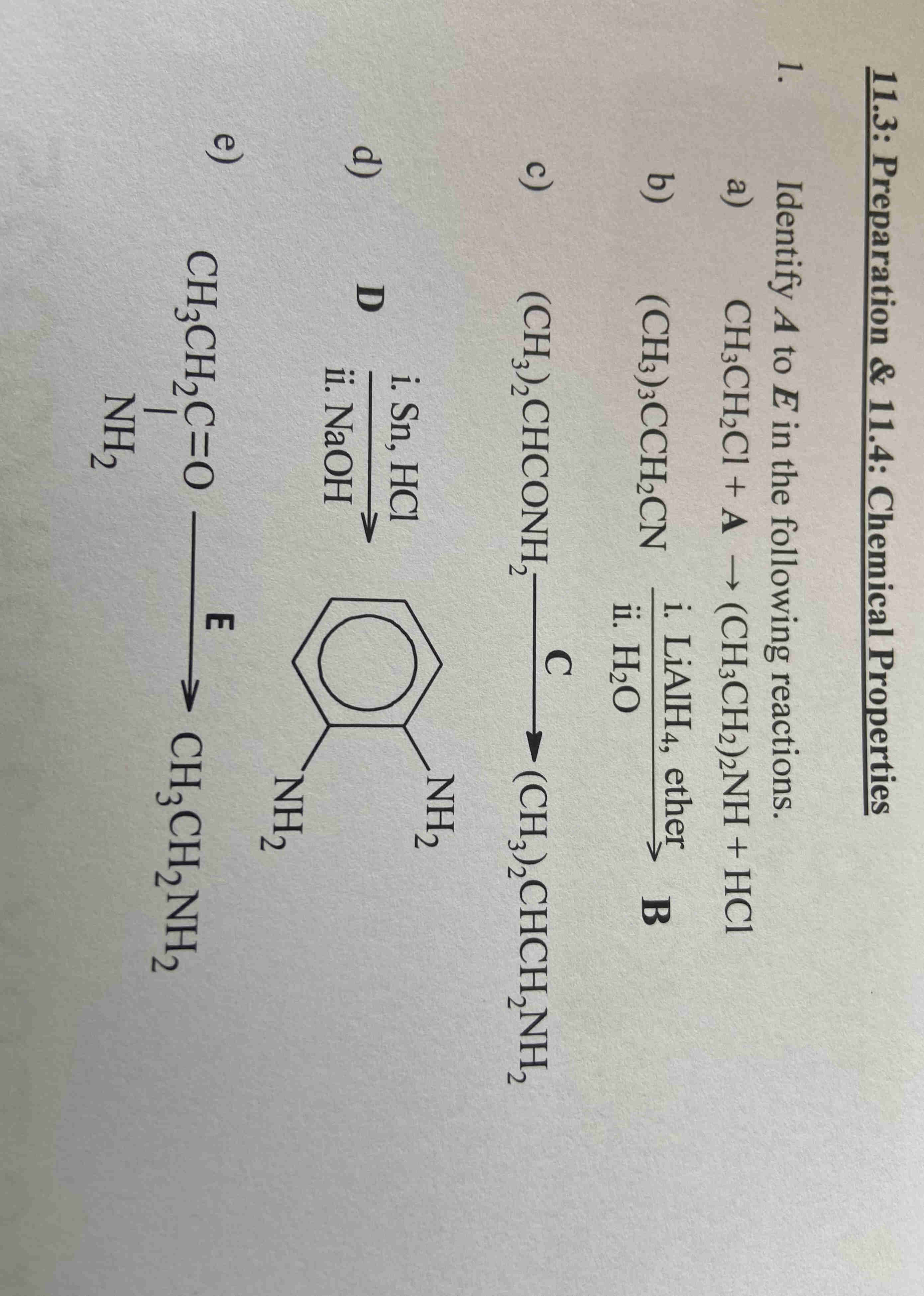 1. Identify A to E in the following | StudyX