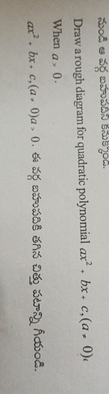 Draw a rough diagram for quadratic | StudyX