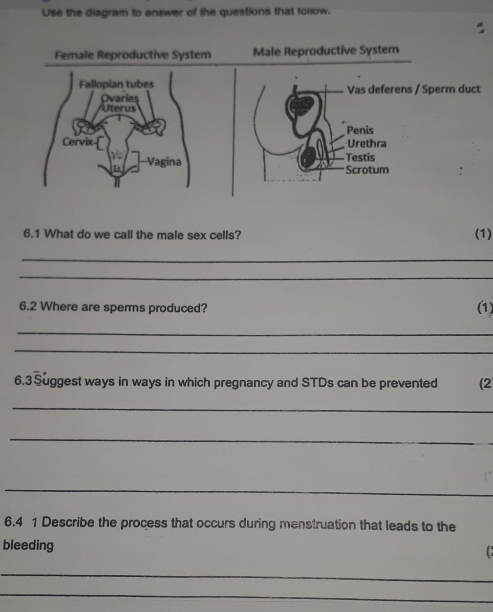 Use the diagram to answer of the questions | StudyX