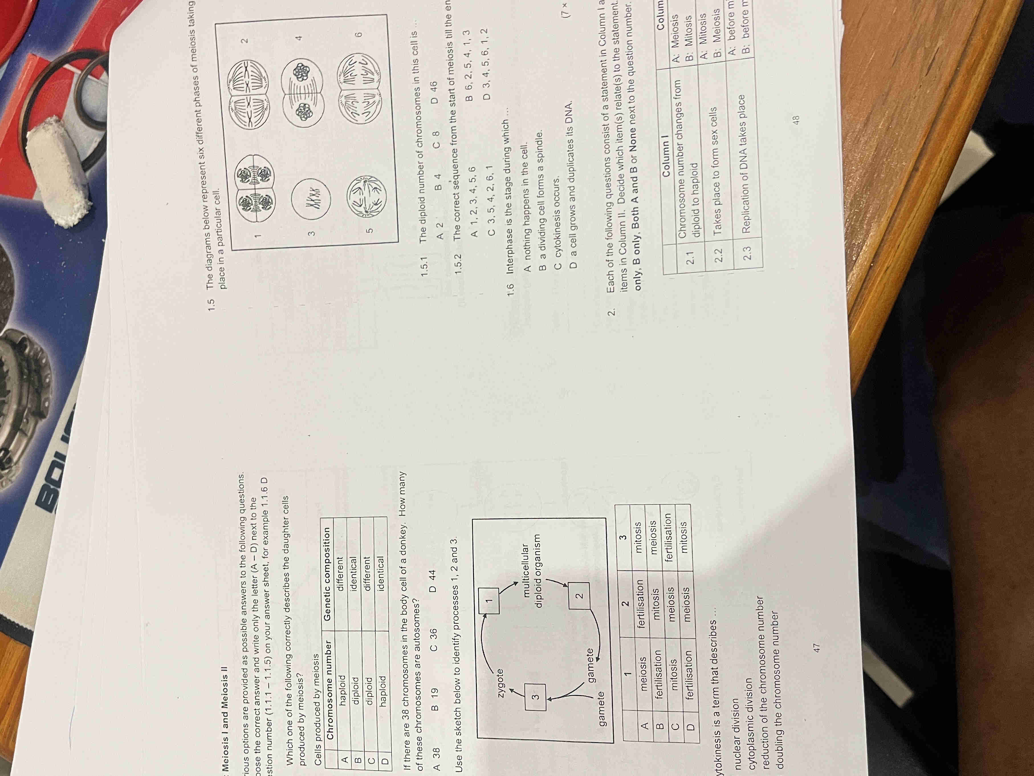 Which one of the following correctly | StudyX
