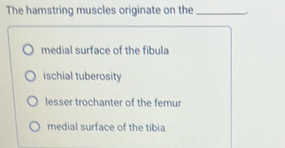 The hamstring muscles originate on the | StudyX