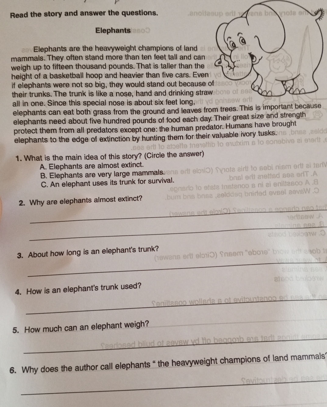 Read the story and answer the questions. | StudyX