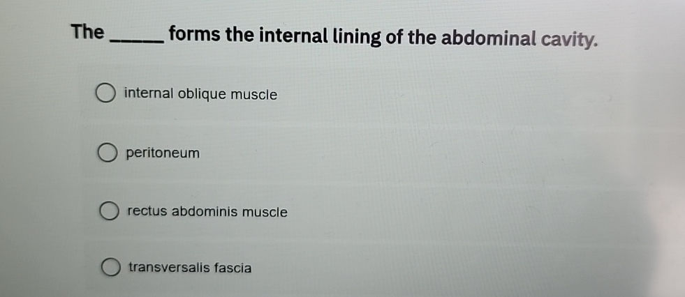 The _____ forms the internal lining of the | StudyX