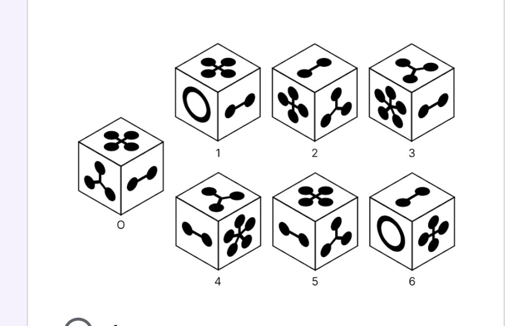 The image shows a 3D cube with different | StudyX