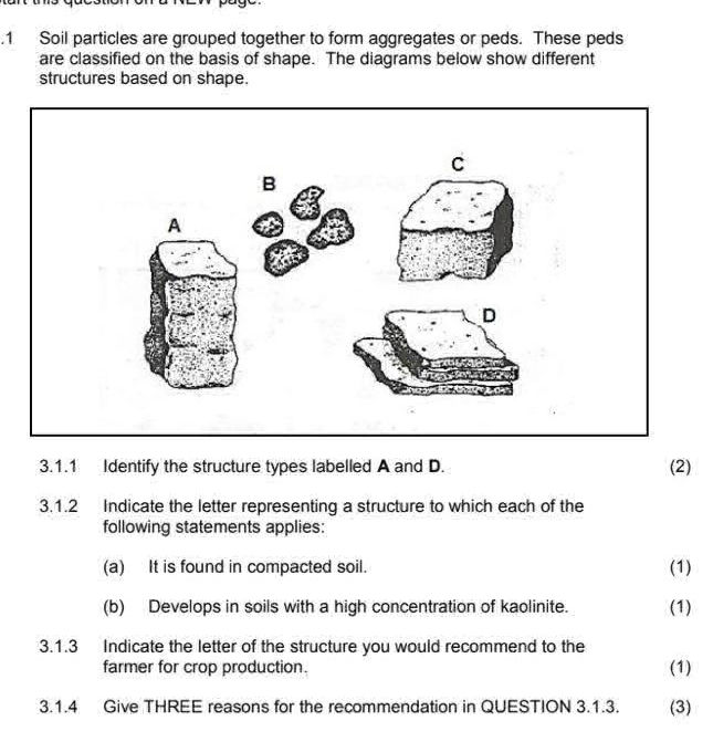 3.1 Soil particles are grouped together to | StudyX