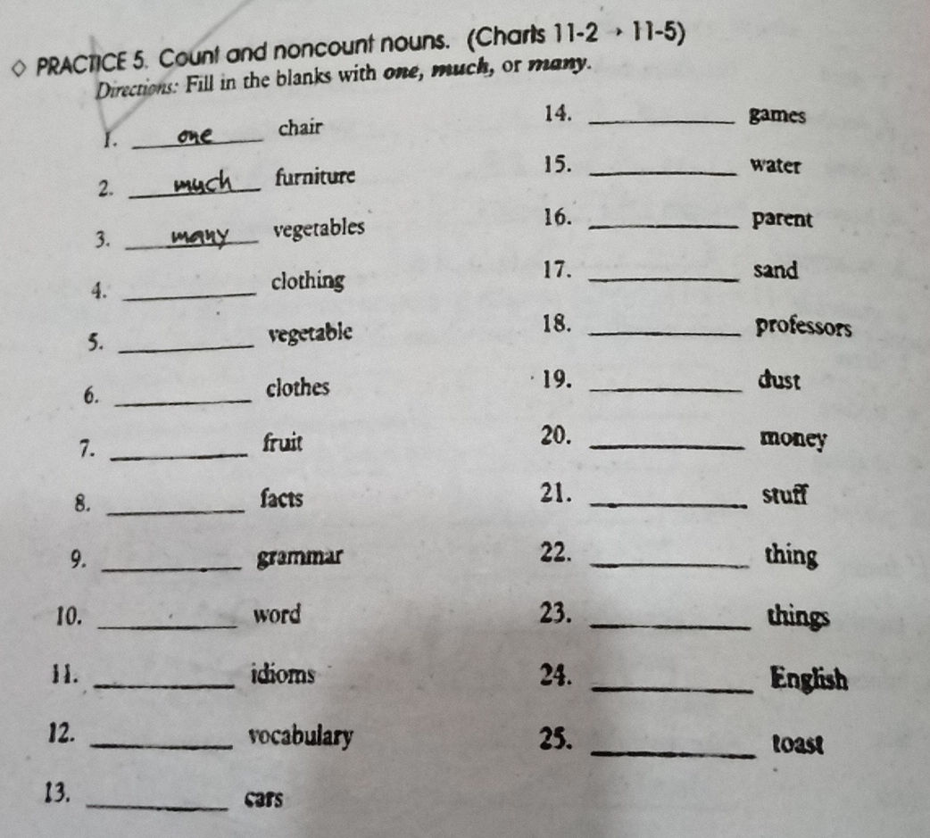 PRACTICE 5. Count and noncount nouns. | StudyX