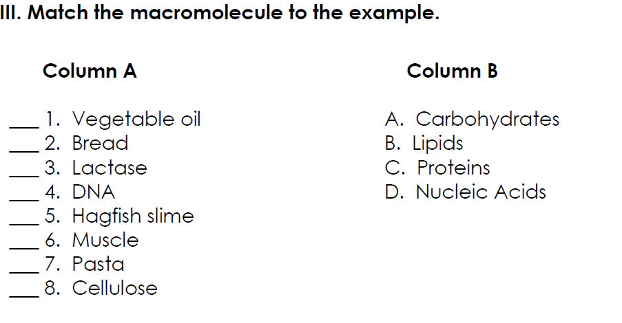 III. Match the macromolecule to the example. | StudyX