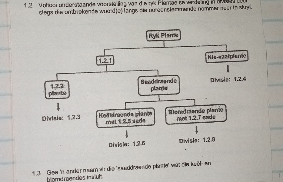 1.2 Voltooi onderstaande voorstelling van | StudyX