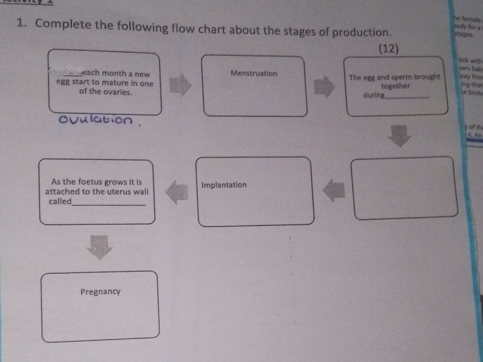 1. Complete the following flow chart about | StudyX