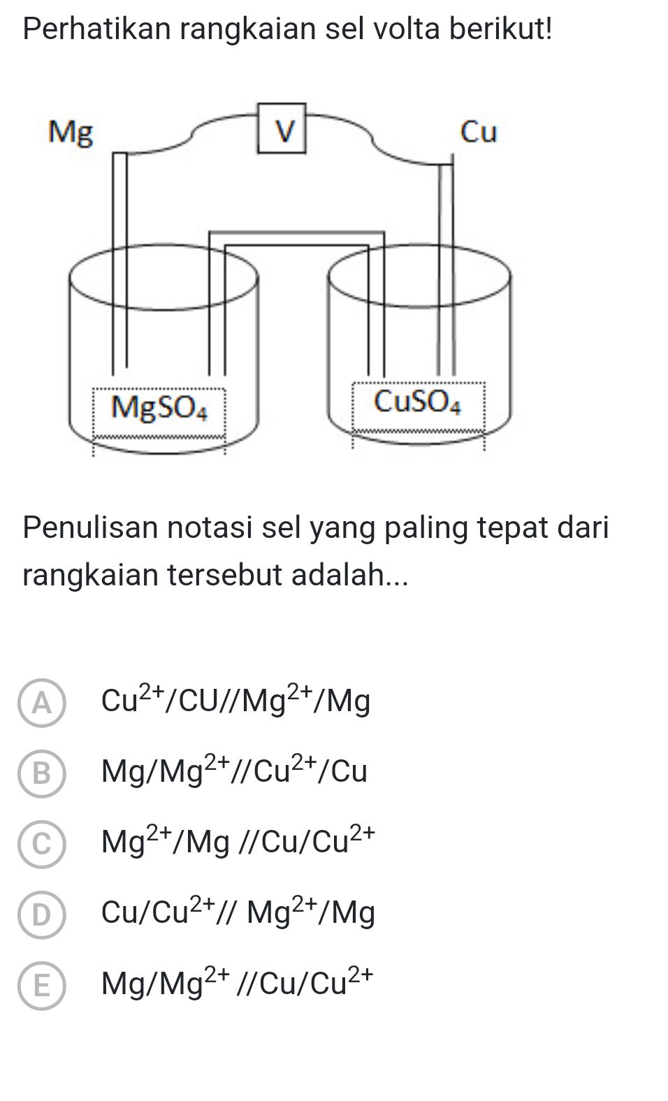Perhatikan rangkaian sel volta berikut! Mg | StudyX