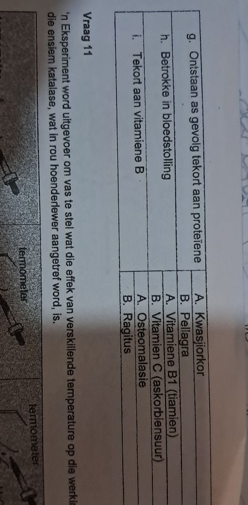 g. Ontstaan as gevolg tekort aan proteïene | StudyX