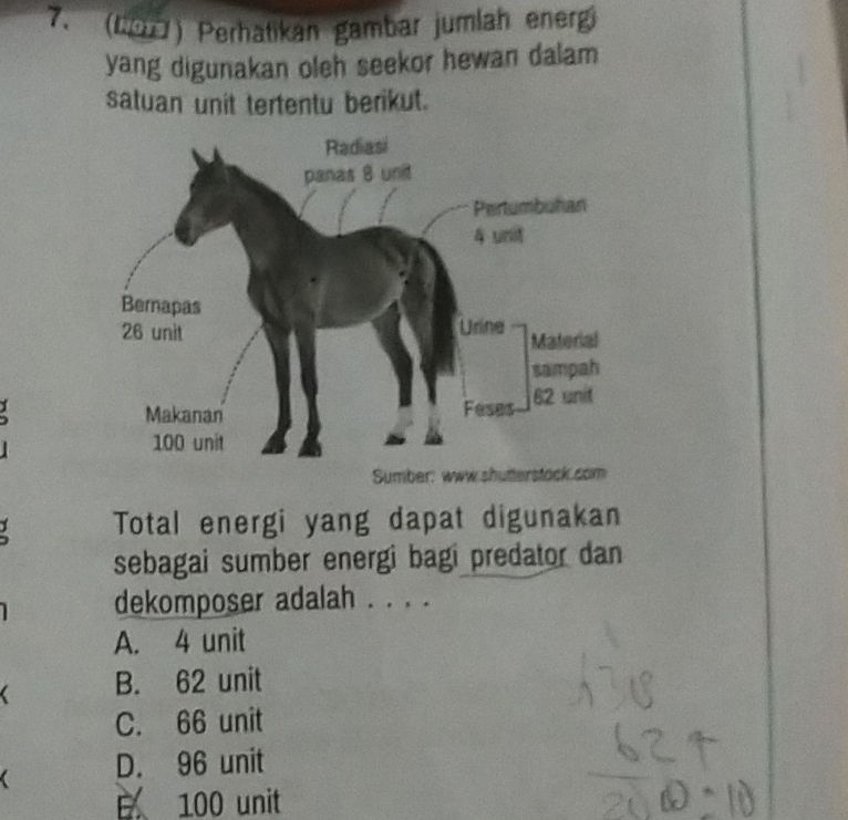 7. (NOTE) Perhatikan gambar jumlah energi | StudyX
