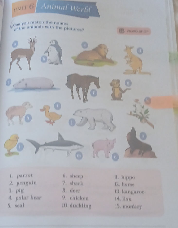 Can you match the names of the animals with | StudyX