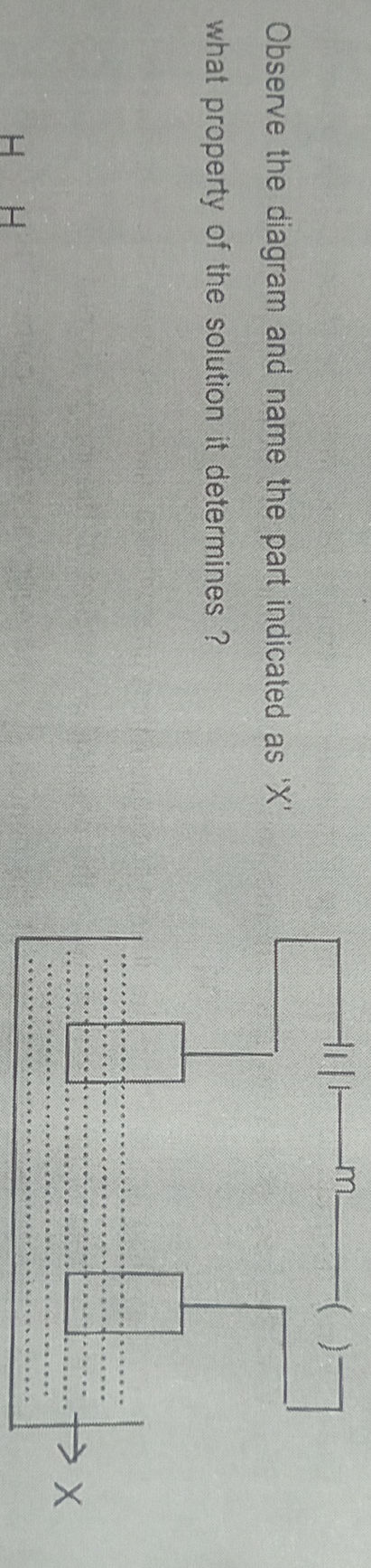 Observe the diagram and name the part | StudyX