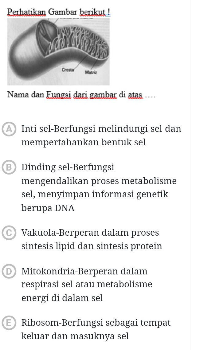 Perhatikan Gambar berikut! Nama dan Fungsi | StudyX