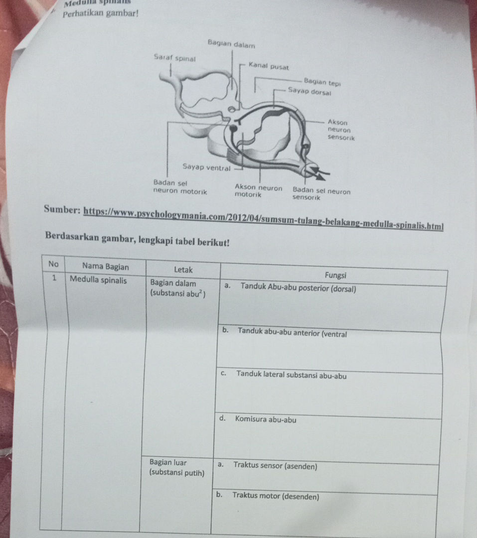 Perhatikan gambar! Berdasarkan gambar, | StudyX