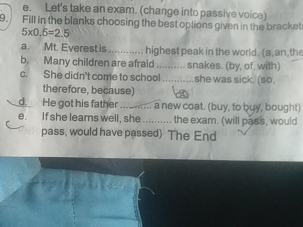 Fill in the blanks choosing the best options | StudyX