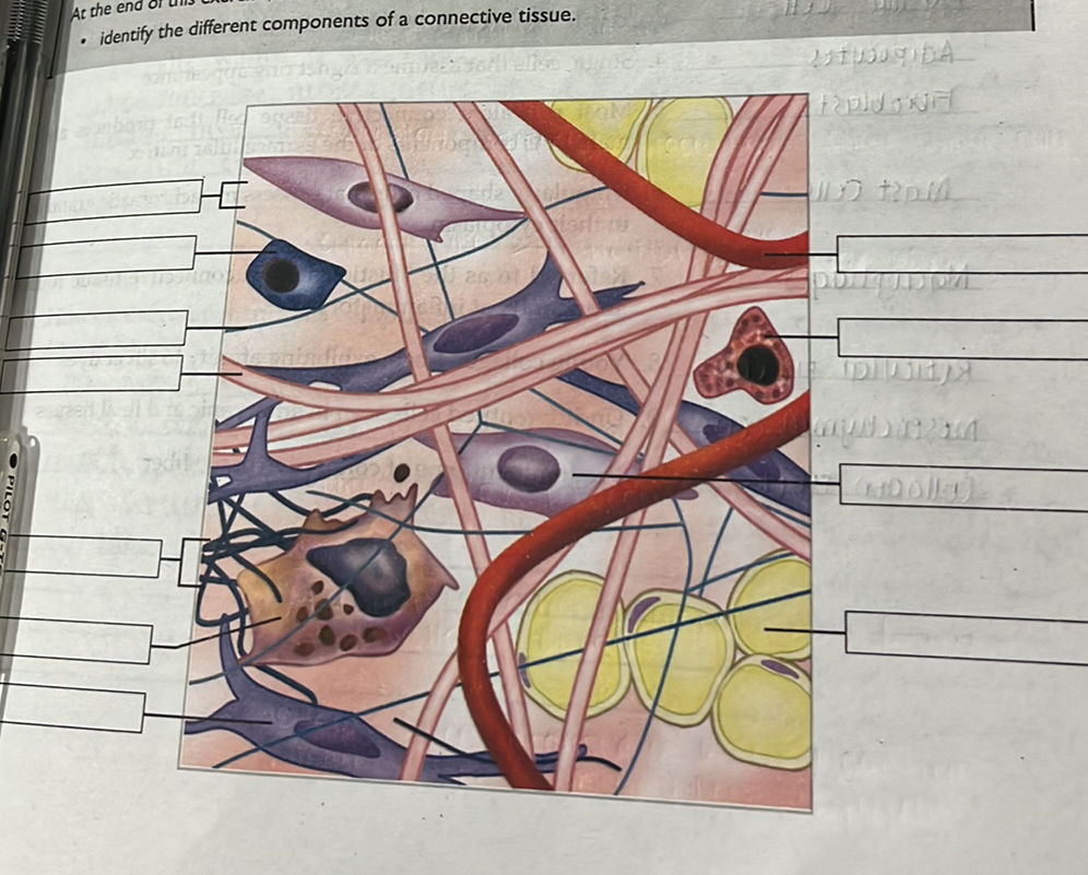Identify the different components of a | StudyX