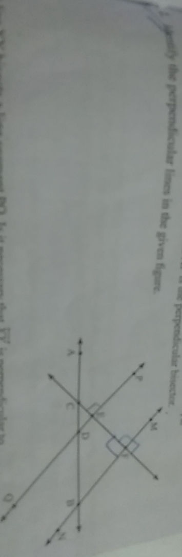 Identify the perpendicular lines in the | StudyX
