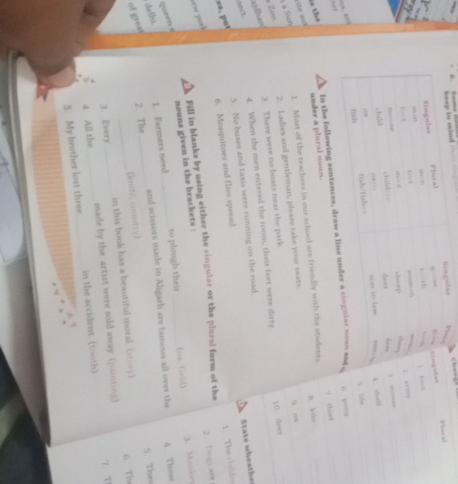 In the following sentences, draw a line | StudyX