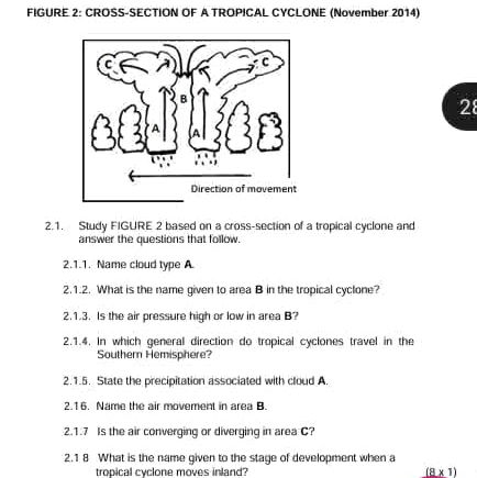 FIGURE 2: CROSS-SECTION OF A TROPICAL | StudyX