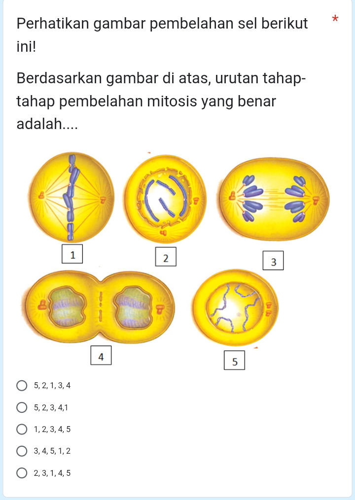 Perhatikan gambar pembelahan sel berikut | StudyX