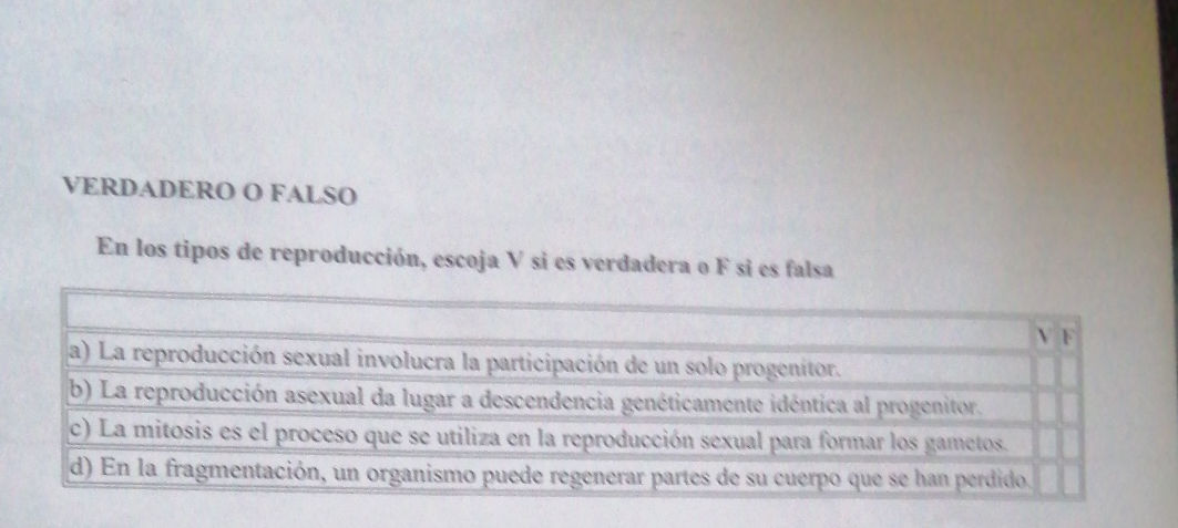 VERDADERO O FALSO En los tipos de | StudyX